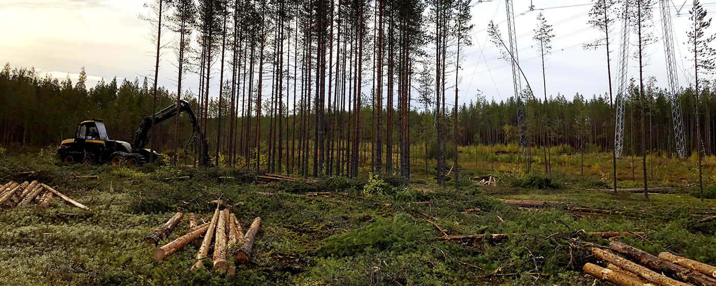 Kantaverkko kasvaa tulevaisuuden tarpeisiin - Fingrid-lehti