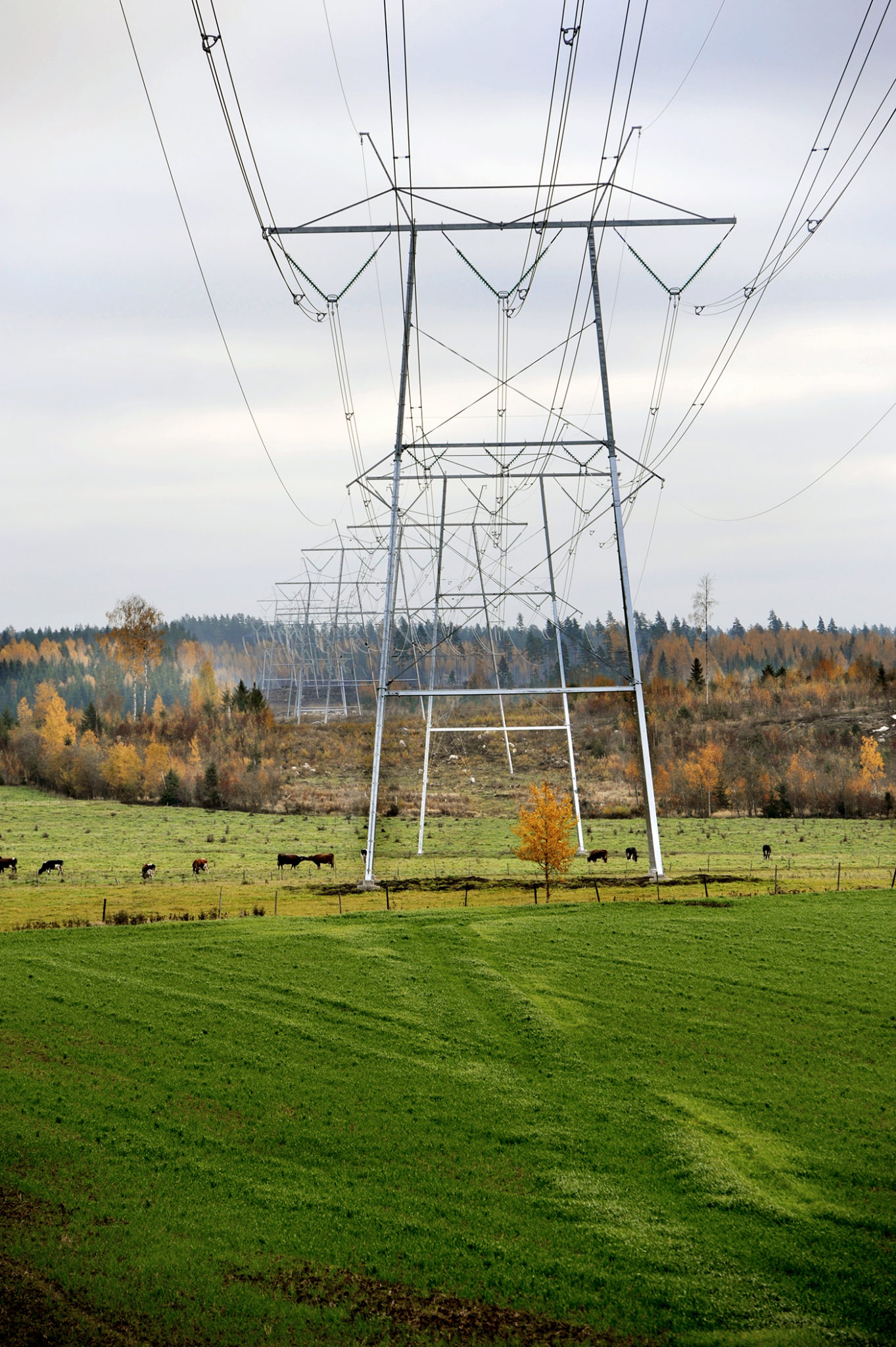 Earth wires guide lightning down into the ground and protect the system ...