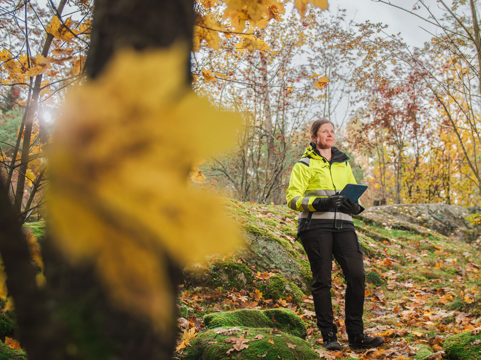 Home - Fingrid-lehti